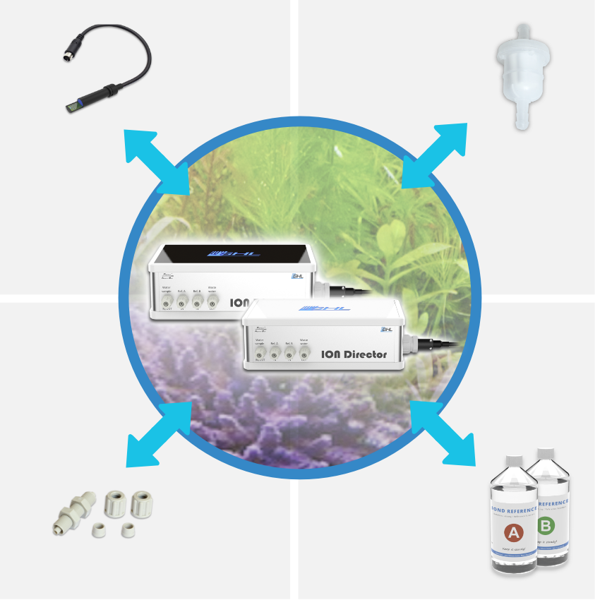 ION Director - GHL USA