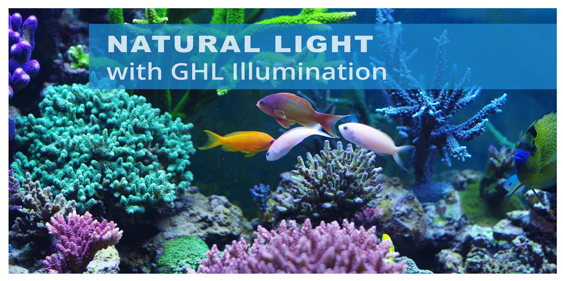 GHL Illumination - GHL Advanced Technology