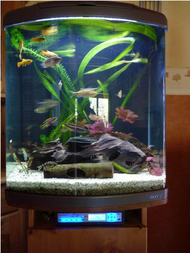 GHL (International) – High-Tech for Aquariums, Terrariums and Ponds ...